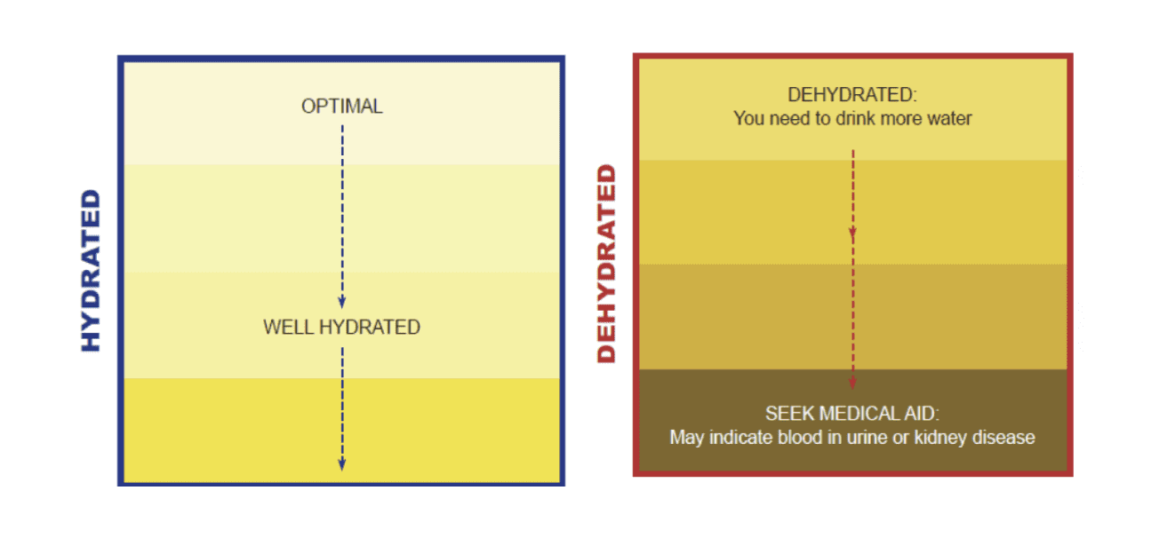 Heat Stress Prevention – Hydration - McConkey Insurance & Benefits
